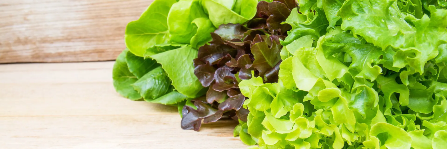 Grupo Enhol y Stellum Food&Tech entran en el capital de Huerta de ...